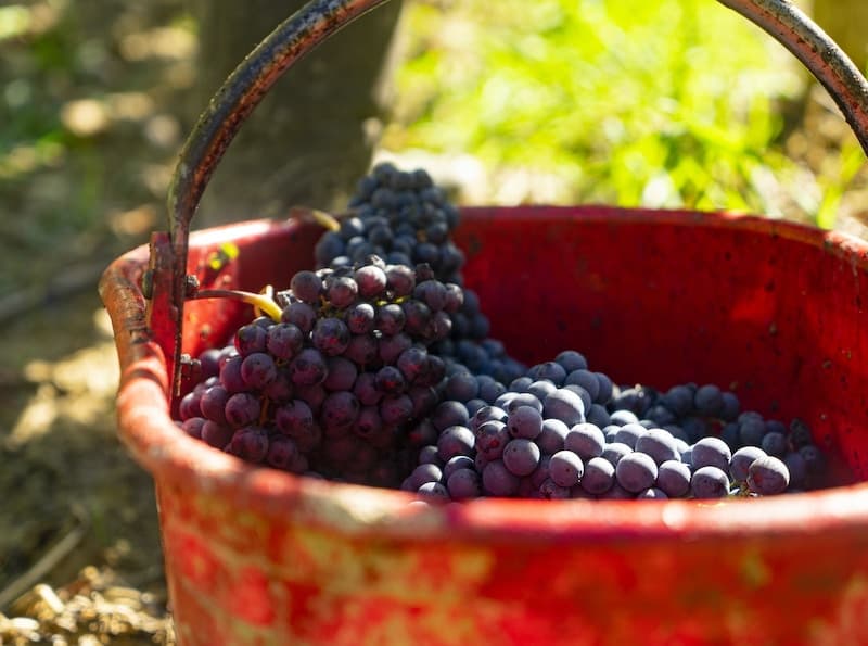 Why You Should Visit Rome in the Fall - Montage Travel